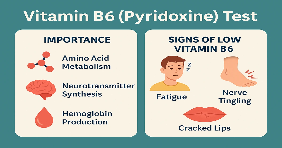 Vitamin B6 (Pyridoxine) Test – Normal Range, Deficiency, and Health ...