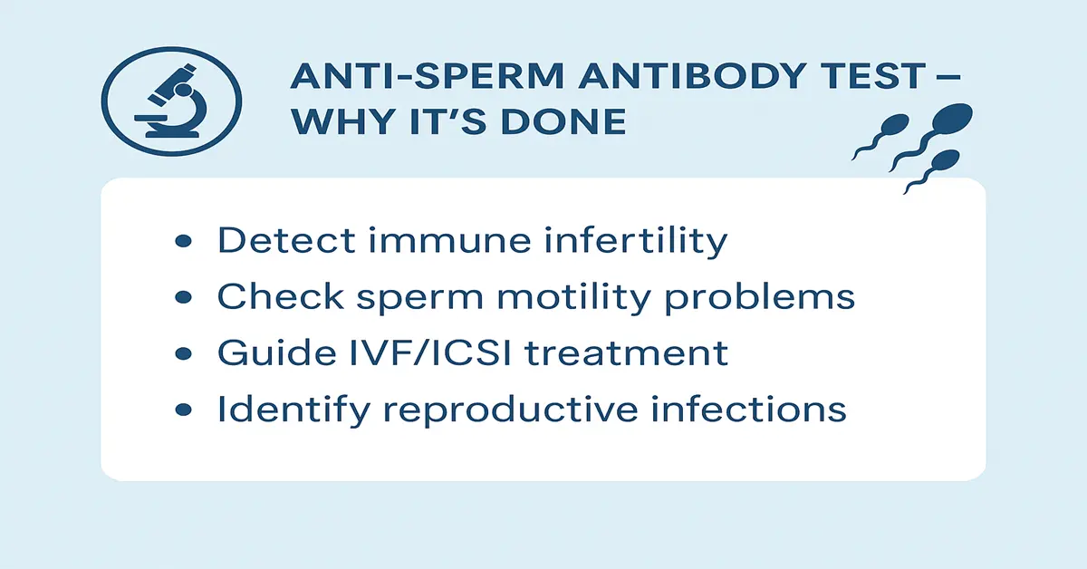 Anti-Sperm Antibody (ASA) Test – Meaning, Causes, Symptoms, and Normal ...
