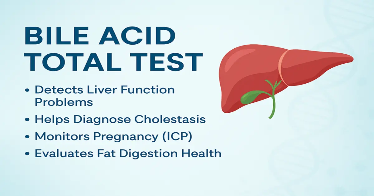 Bile Acid Total Test – Detects Liver Function and Cholestasis