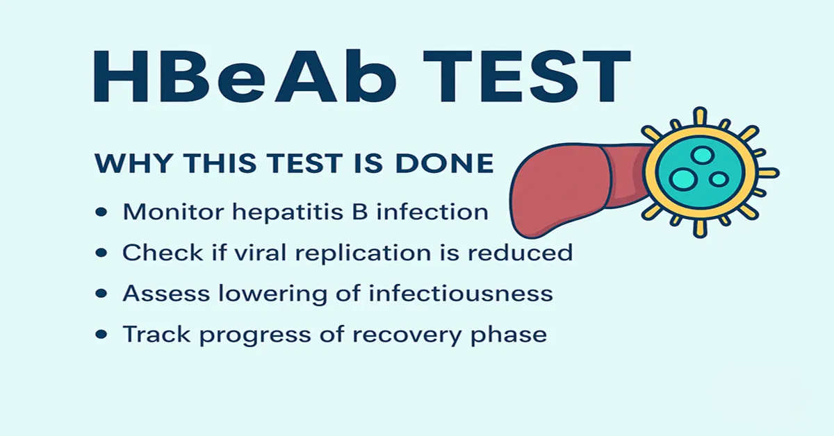 HBeAb Test: Meaning, Positive/Negative Results & Importance