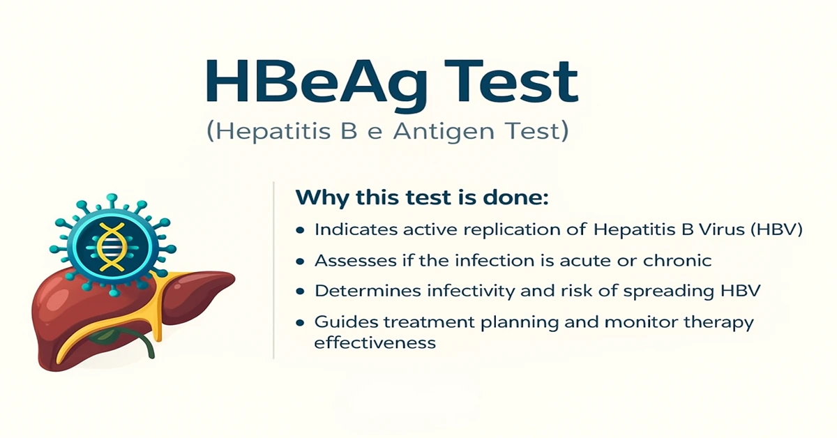 HBeAg Test: Meaning, Positive/Negative Results & Infectivity - ALL ...