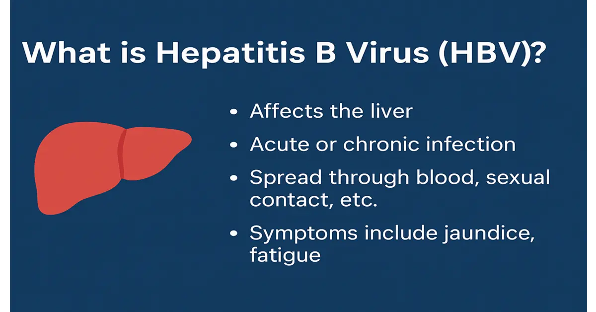 Hepatitis B Virus (HBV) Test: Symptoms, Causes & Diagnosis