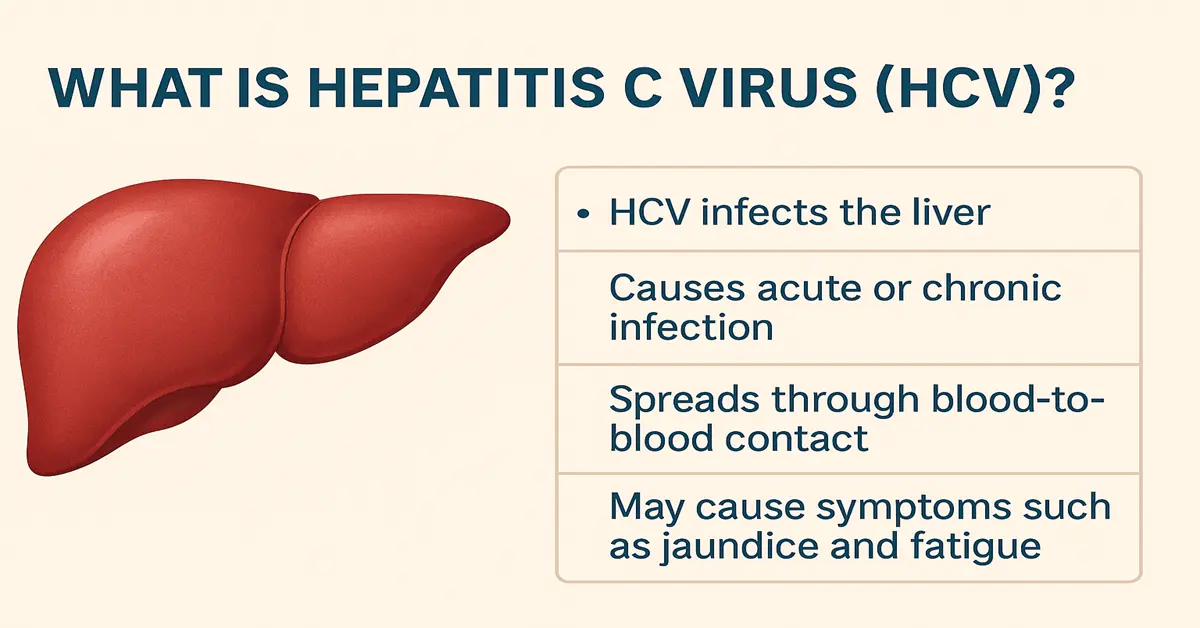 Hepatitis C Virus (HCV): Symptoms, Causes & Diagnosis Guide