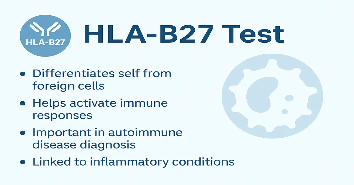 HLA-B27 Test – Meaning, Uses, Symptoms, Positive vs Negative Results