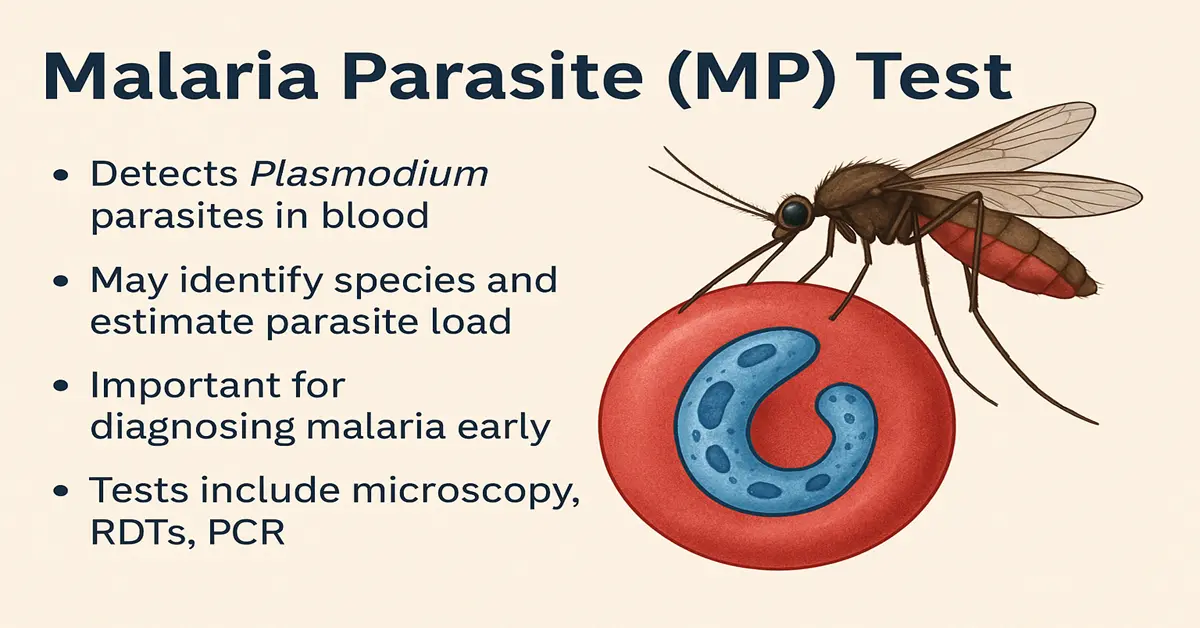 Malaria Parasite (MP) Test: Meaning, Procedure, Results & Symptoms ...
