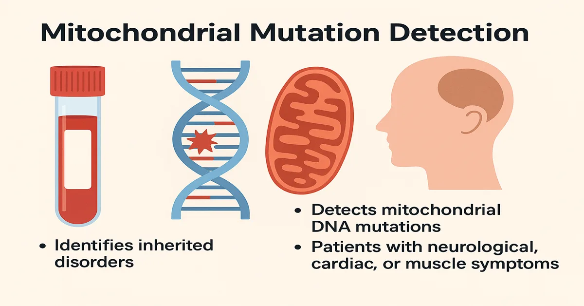 Mitochondrial Mutation Detection Test: Symptoms, Uses & Complete Guide